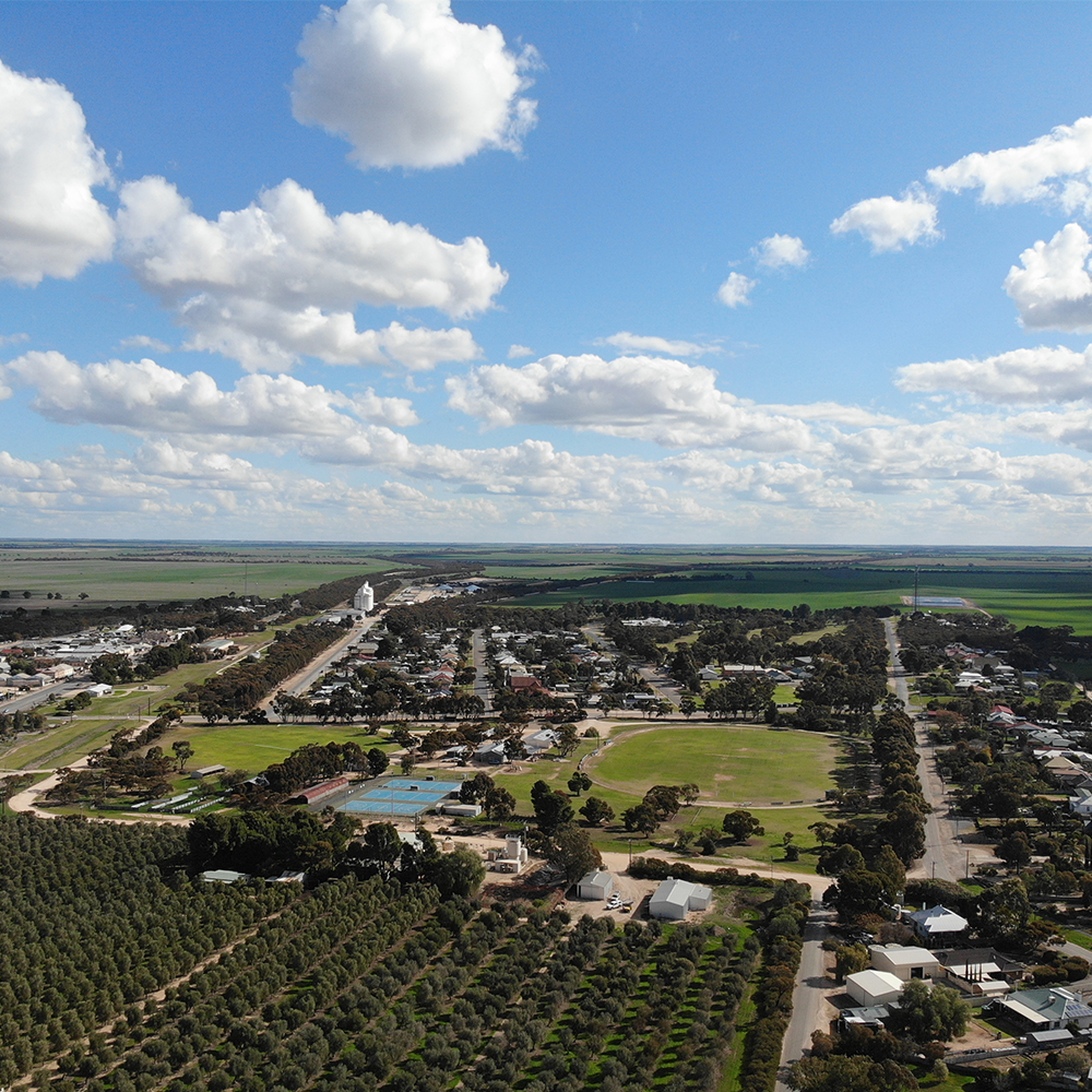 About – The Pinnaroo Project