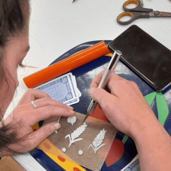 The Pinnaroo Project – Art, Community, Health