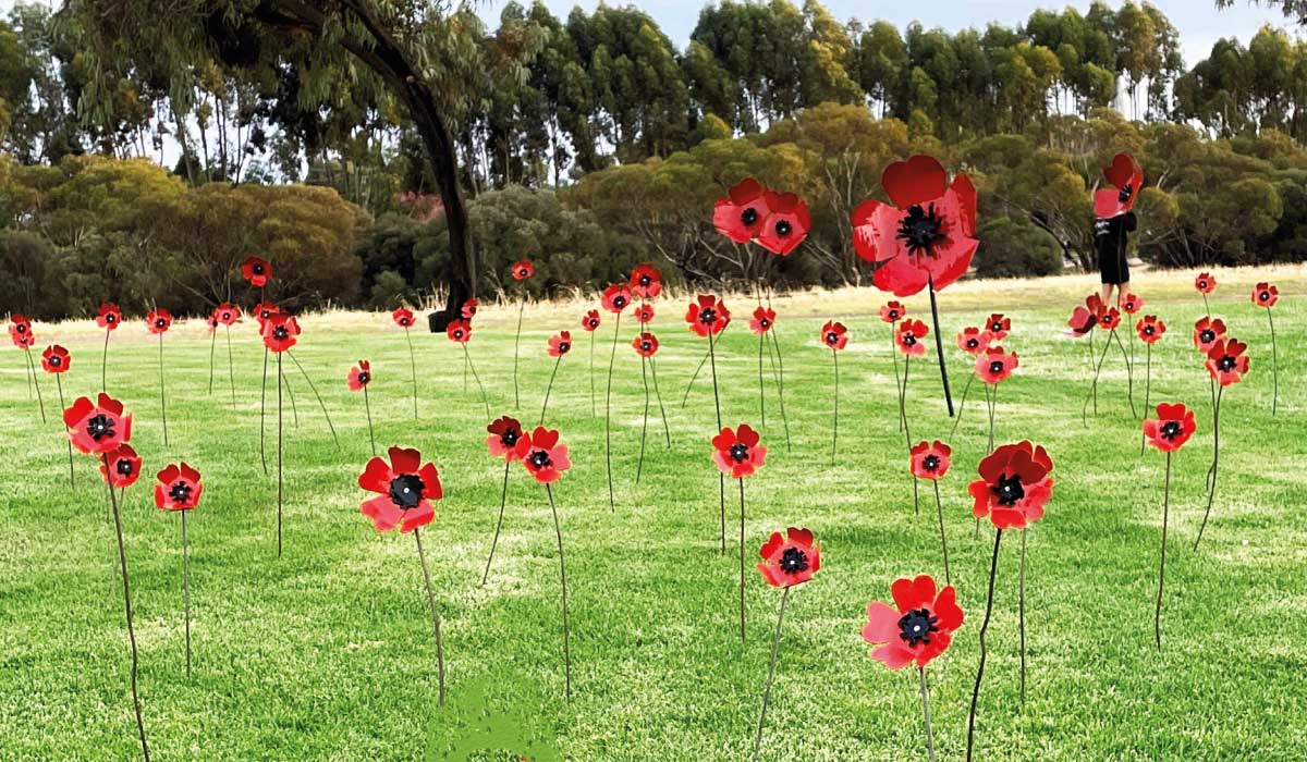 The Pinnaroo Project – Art, Community, Health