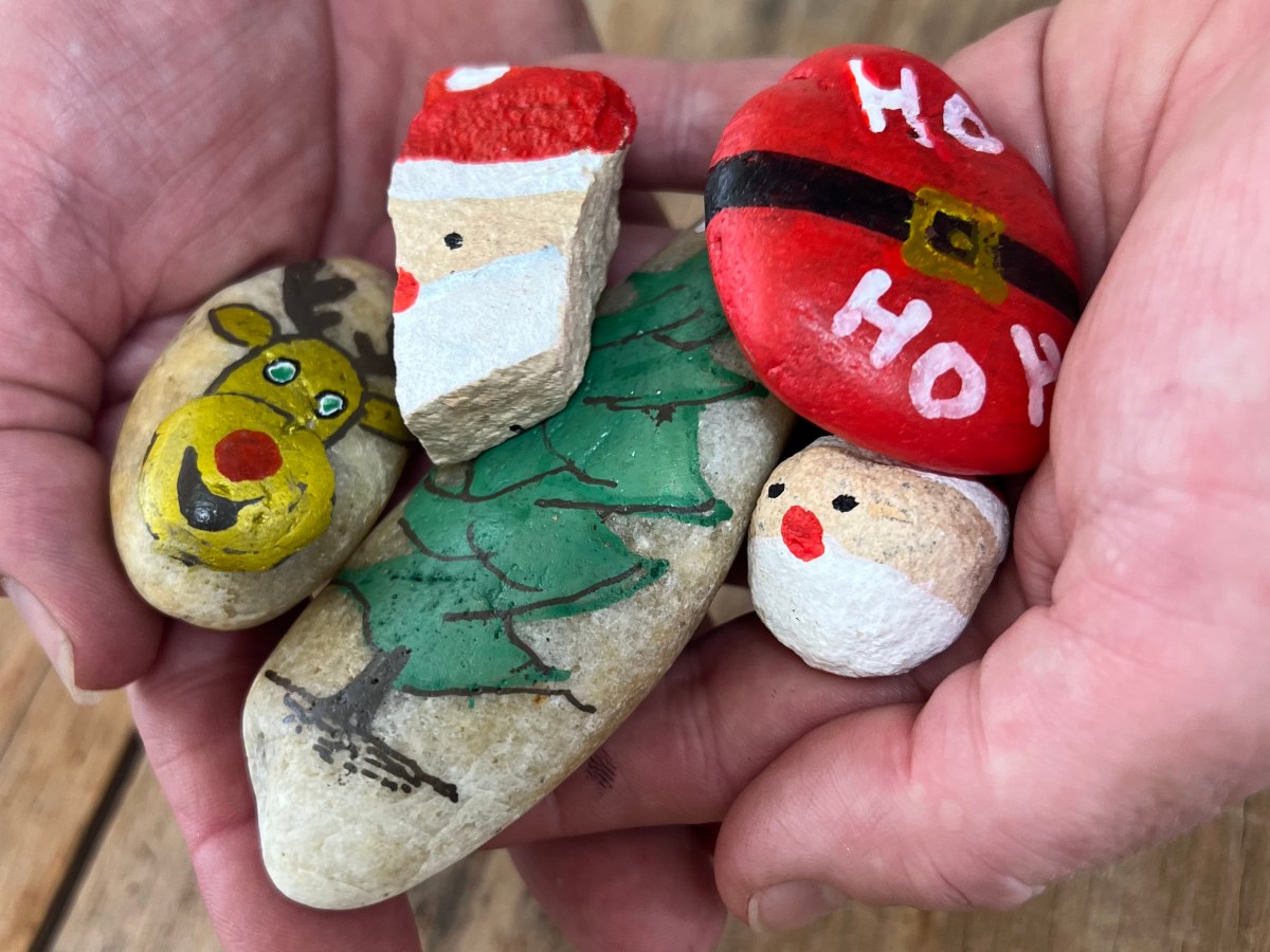 Techniques – The Pinnaroo Project